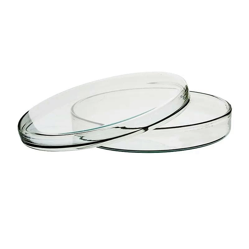 Placa de Petri de Vidro 100 x 20mm - Prolab Loja