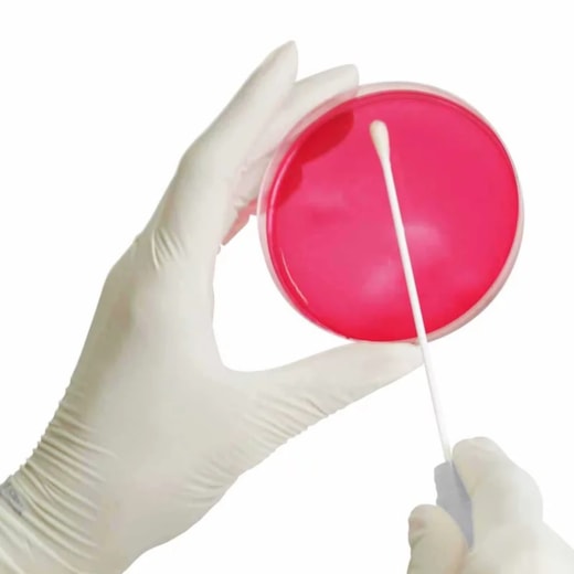 Swab Estéril Tubo Com Meio Stuart Pacote com 100 Unidades - Prolab Loja